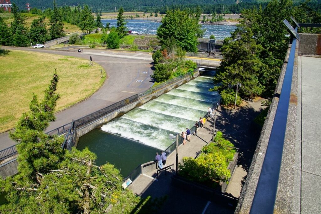 Touring the Bonneville Dam visitor center - The Gorge Guide